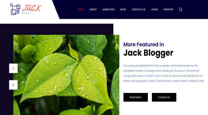 Download Free HTML CSS Website Templates - CSS Codex